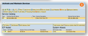 Building OData Services [24] : CDS View with OData.Publish ...